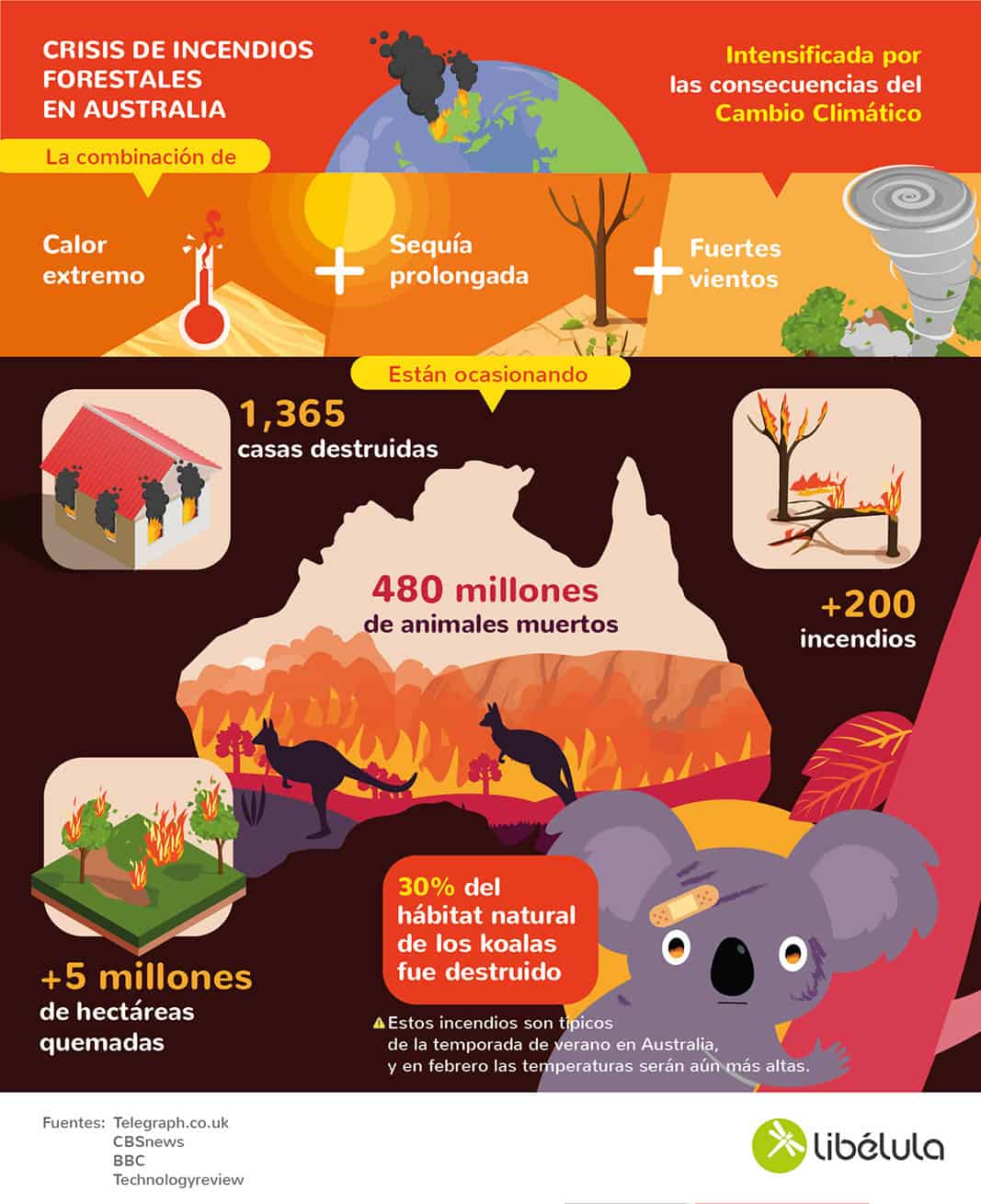 Incendios forestales y cambio climático en Australia - Libélula : Libélula